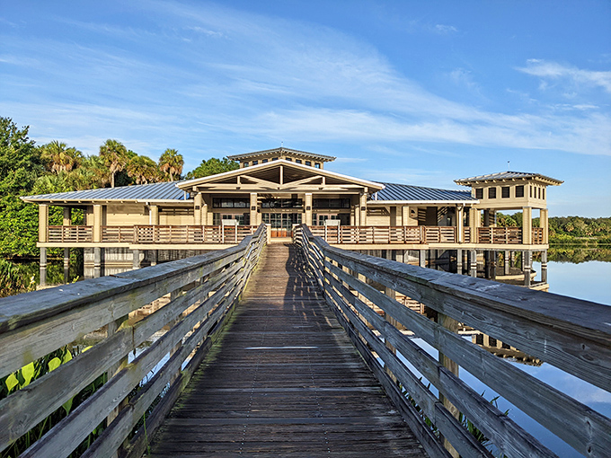 The boardwalk beckons with promises of discovery. This wooden pathway leads visitors straight into the heart of Florida's natural splendor.