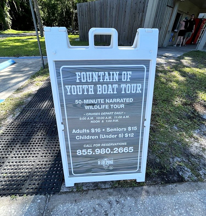 For those who prefer guided exploration, the Fountain of Youth tour delivers wildlife sightings and fascinating history without the paddling workout.