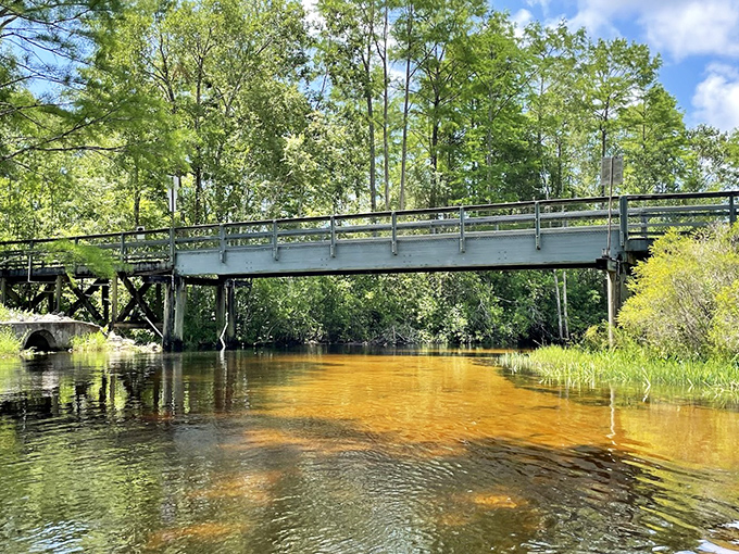 This sturdy bridge spans the golden waters of Turkey Creek, connecting not just shores but visitors to Florida's pristine natural heritage.