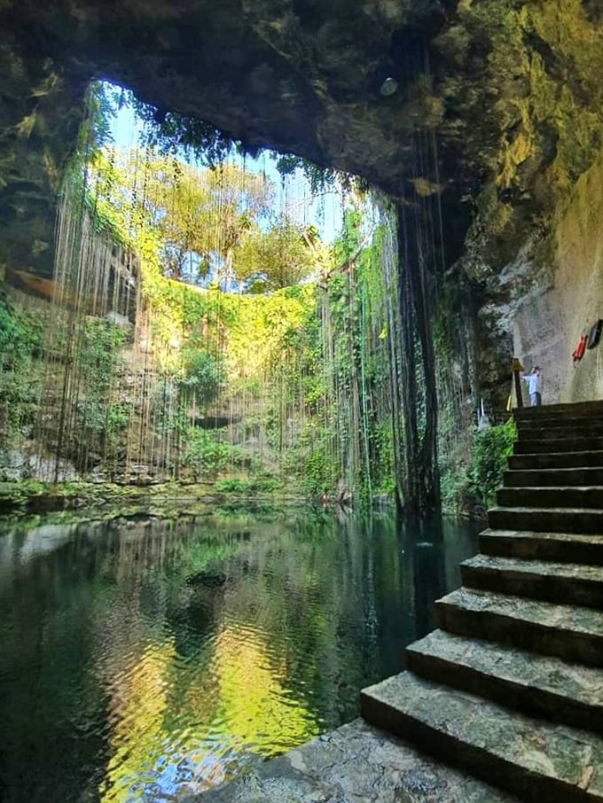 Just a short drive from Mexico Beach, natural cenotes offer swimmers crystal-clear waters and a refreshing break from saltwater adventures.