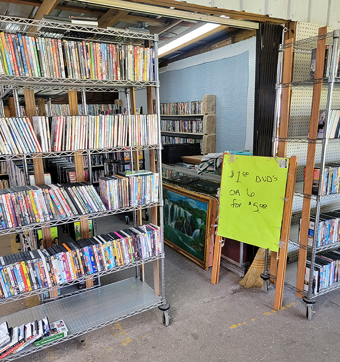 Movie buffs can lose themselves among towering shelves of DVDs, where forgotten classics and guilty pleasures await at prices that make streaming services seem extravagant.