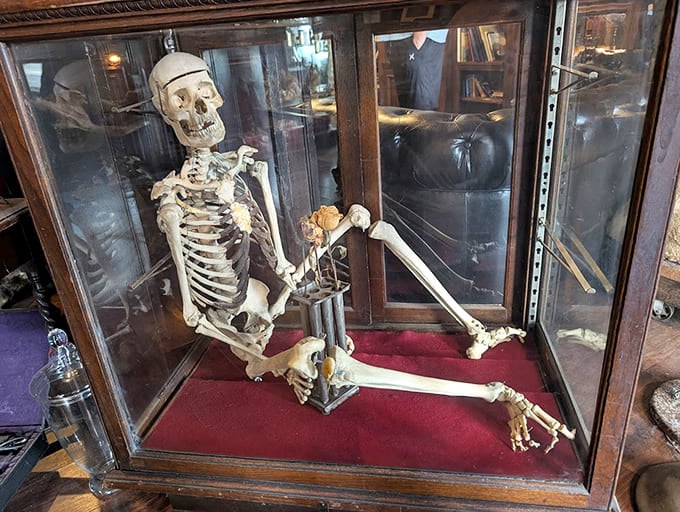 This skeleton's just hanging out, literally, waiting for someone to appreciate good bone structure.