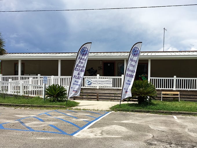 Conservation meets education at this humble center where visitors learn to protect the ancient mariners who've navigated these waters for millennia.