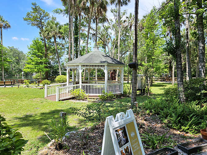 The white gazebo stands as a serene landmark amid lush greenery, offering a picture-perfect spot for contemplating Florida's natural beauty.