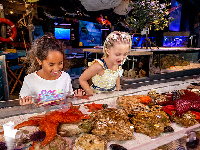 The universal expression of childhood wonder &ndash; noses pressed against glass, imaginations swimming freely alongside the exhibits.