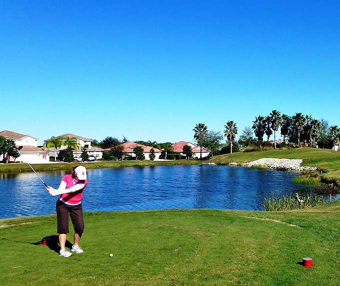 A golfer contemplates the next shot while Florida's natural splendor provides the perfect backdrop for sporting decisions both good and questionable.