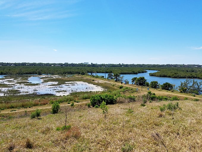 Beyond the building lies the real classroom: restored habitats showcase what Florida looked like before condos and convenience stores.