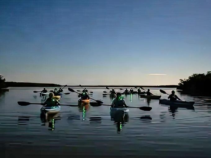 A peaceful flotilla of kayakers creates a constellation of green safety lights, drifting like earthbound stars across the dark water.