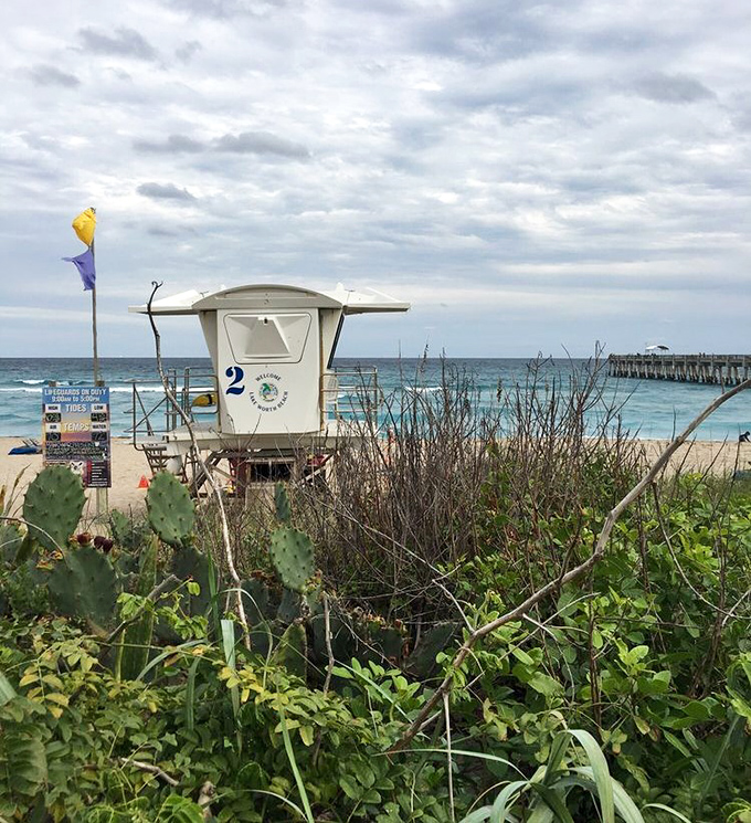 Lifeguard station #2 stands sentinel over the beach, its white tower a reassuring presence for swimmers and sunbathers.