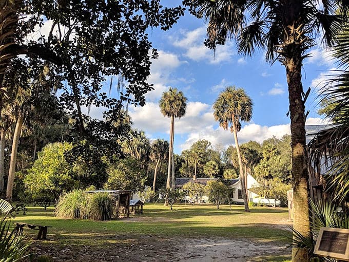 Spanish moss drapes the oaks like nature's own decorations, creating the atmospheric Old Florida that inspired her most vivid descriptions.