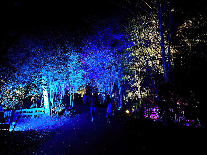 Electric blue illumination creates an otherworldly forest experience &ndash; proof that Mother Nature looks fabulous in theatrical lighting.