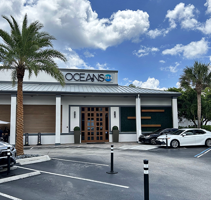 Oceans 234 welcomes diners with contemporary coastal elegance, where the only thing fresher than the seafood is the ocean breeze flowing through.