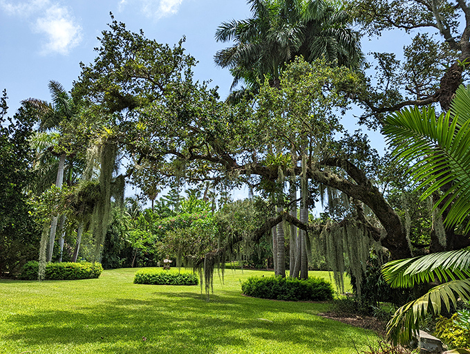 Ancient oaks draped with Spanish moss create natural canopies over expansive lawns, where dappled light dances across the vibrant green carpet.