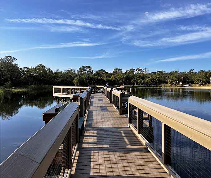 This dock stretches into possibilities, whether you're fishing, bird-watching, or just contemplating life's big questions.