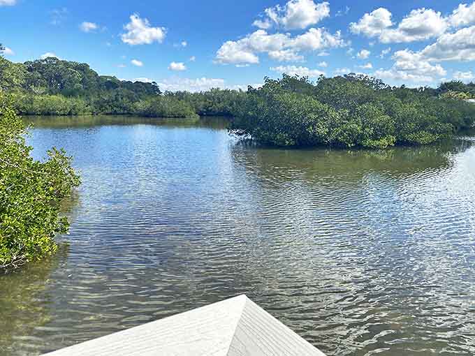 Oyster Creek Environmental Park showcases Florida's natural beauty with mirror-like waters reflecting the unspoiled landscape that surrounds them.