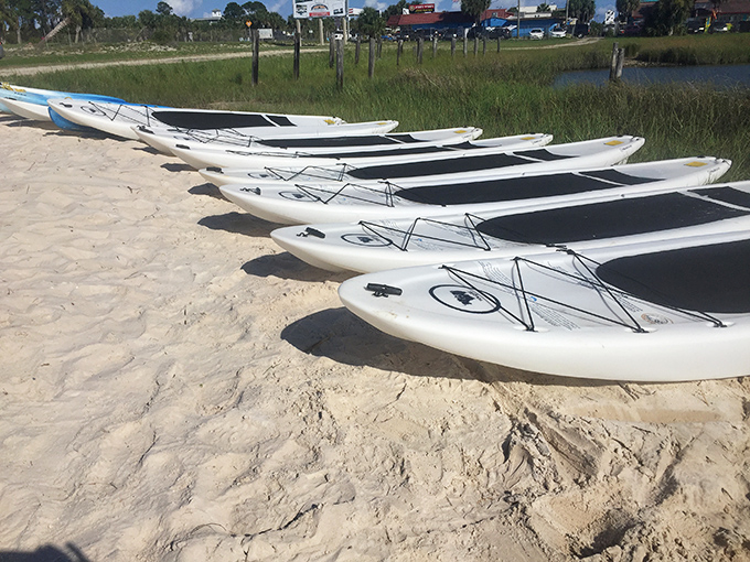 Stand-up paddleboards lined up like colorful soldiers, ready to deploy for explorations of shallow coves inaccessible to larger vessels.