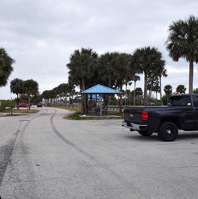Palm trees stand sentinel over the parking area, their fronds whispering, "Welcome to real Florida – leave your hurry in the car."