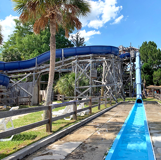 Twin slides offer double the thrills as swimmers choose their path before plunging into the refreshing embrace of the spring below.
