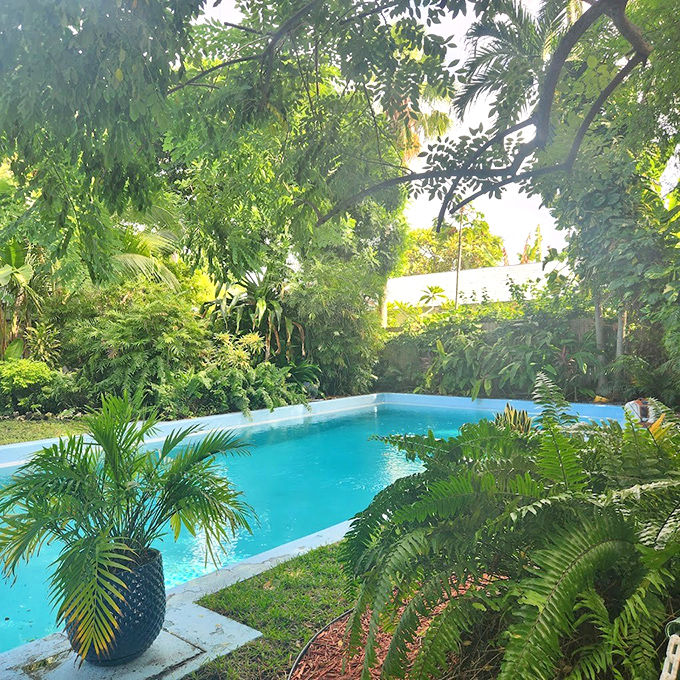 Liquid luxury: Palm shadows dance across waters that once cooled literary giants, Hollywood stars, and local characters alike.