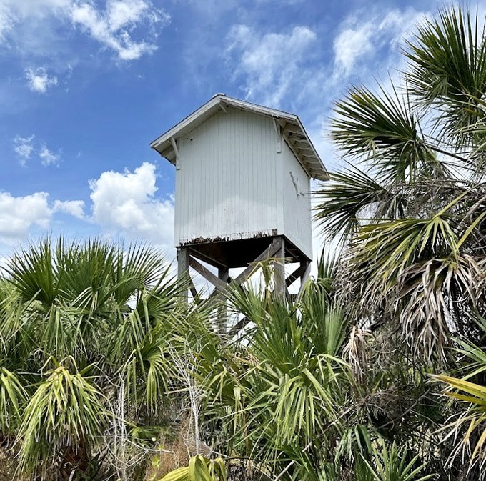 This mysterious wooden structure stands like Florida's version of a treehouse &ndash; minus the tree, plus extra humidity.