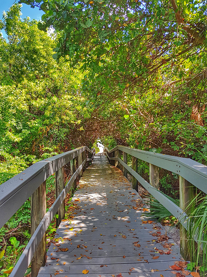 South Beach Park delivers that postcard-perfect Florida beach experience without the crowds through this peaceful wooden boardwalk.