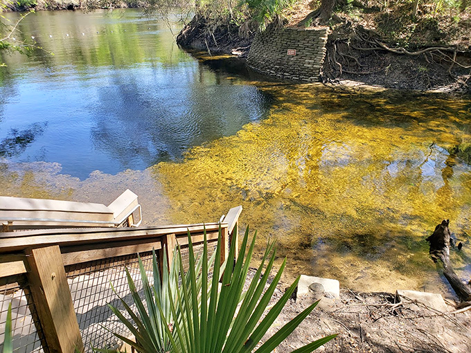 These stairs aren't just access points &ndash; they're portals to an underwater world where fish conduct business meetings among limestone formations.