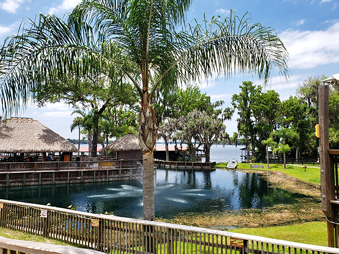 Lush tropical vegetation frames the lagoon, creating a postcard-perfect scene that captures Florida's natural beauty in one glance.