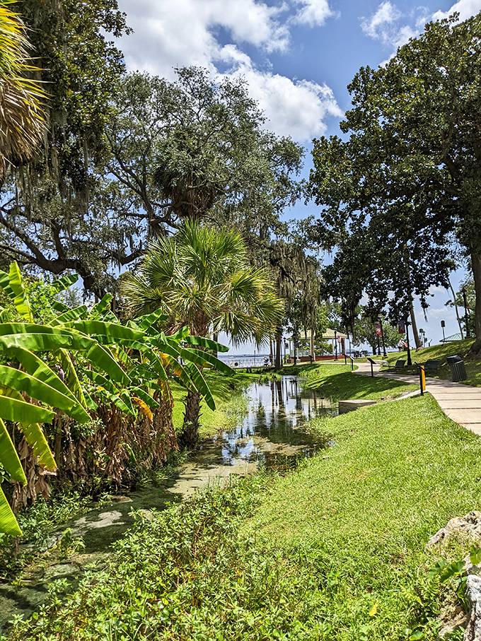 Spanish moss dangles from majestic oaks like nature's own decorations, creating dappled shade patterns across the lush green landscape.
