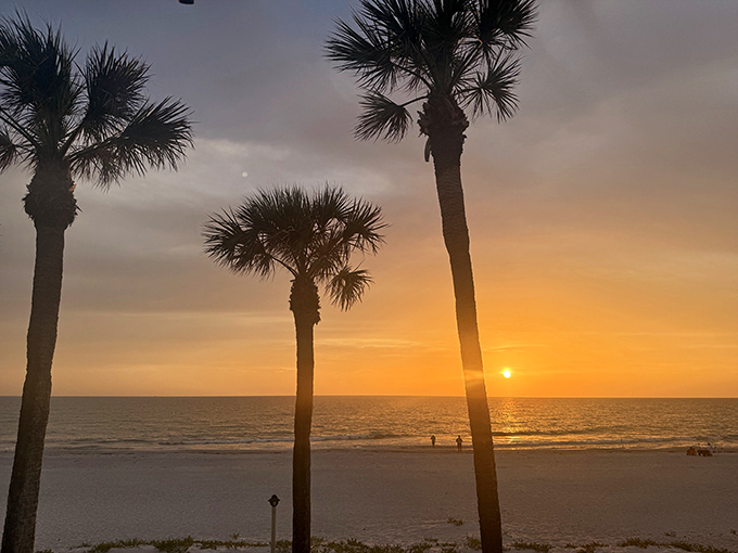 Palm trees frame nature's nightly masterpiece &ndash; a sunset that makes you understand why people applaud when the sun disappears.