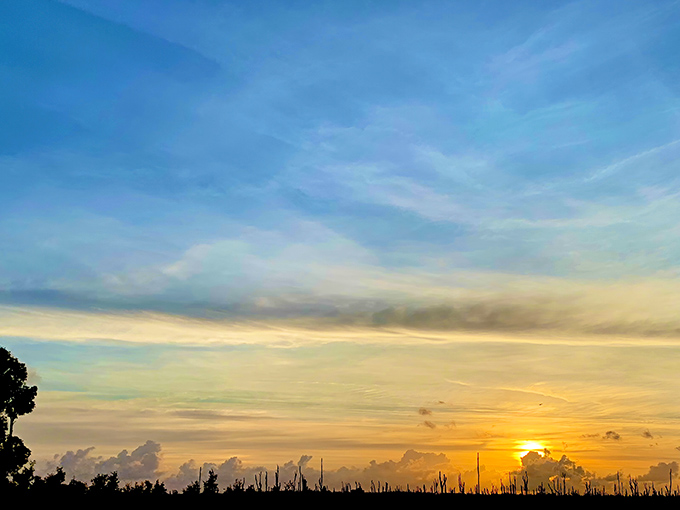 Day bids farewell in a spectacular display of color, painting the Everglades sky with brushstrokes that no human artist could ever replicate.