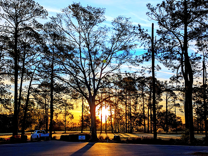 Golden hour transforms the park into a cathedral of light and shadow, when even the most amateur photographers capture magic.