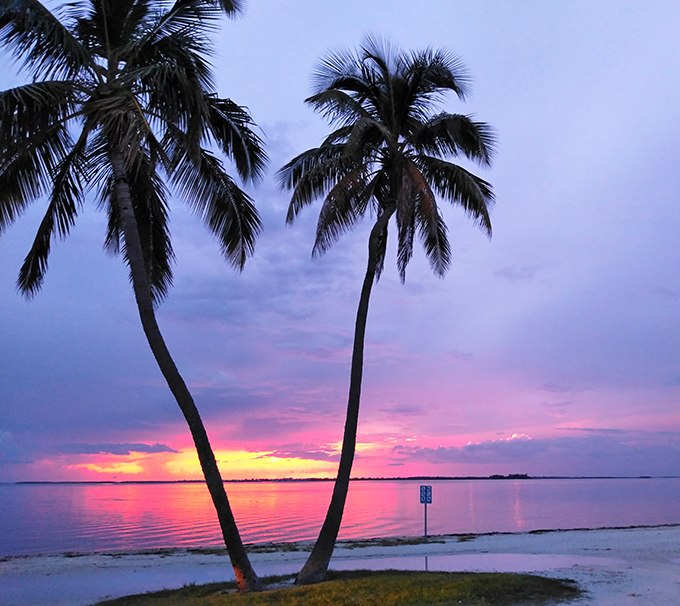 Sunset shot: Twin palms stand like nature's exclamation points against a sky painted in shades only Florida sunsets can deliver.