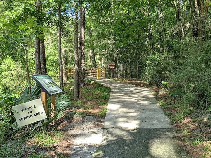 This pathway promises adventure with every step, leading visitors toward the spring's refreshing embrace just a quarter-mile ahead.