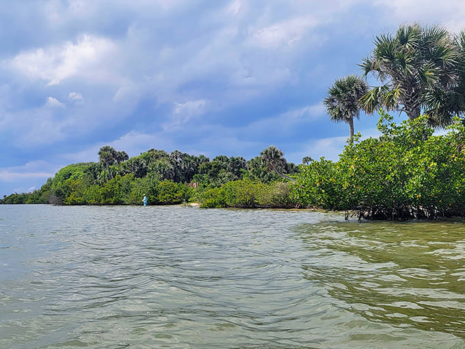 Mosquito Lagoon's brackish waters support incredible marine life, though the name suggests you should probably bring industrial-strength bug spray for your visit.