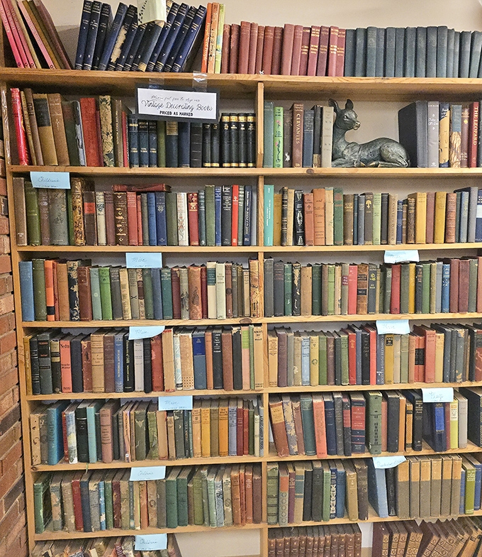 Vintage hardcovers create a rainbow of literary history, with each spine telling stories before you even open the covers.