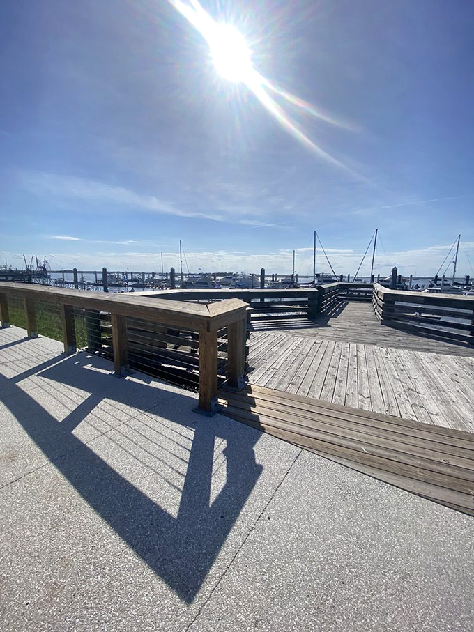 Sunlight bathes the marina's wooden deck in golden warmth, creating a peaceful contrast to the festival's energetic atmosphere just steps away.