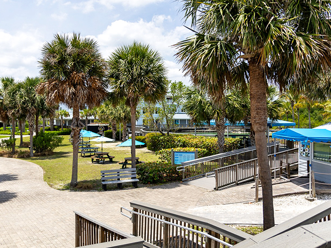Benches nestled among palm trees offer peaceful spots to absorb the coastal beauty and plan which exhibit to explore next.