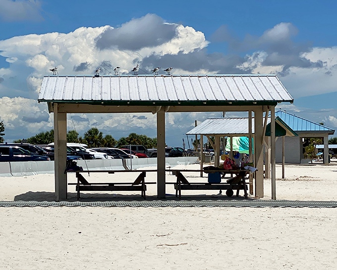 Beach pavilions that serve as command centers for family outings, where sunscreen application stations meet impromptu picnic headquarters.