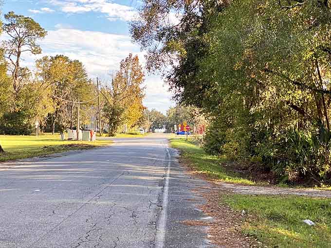 The trail's entrance road beckons with promises of serenity, just moments away from everyday hustle.