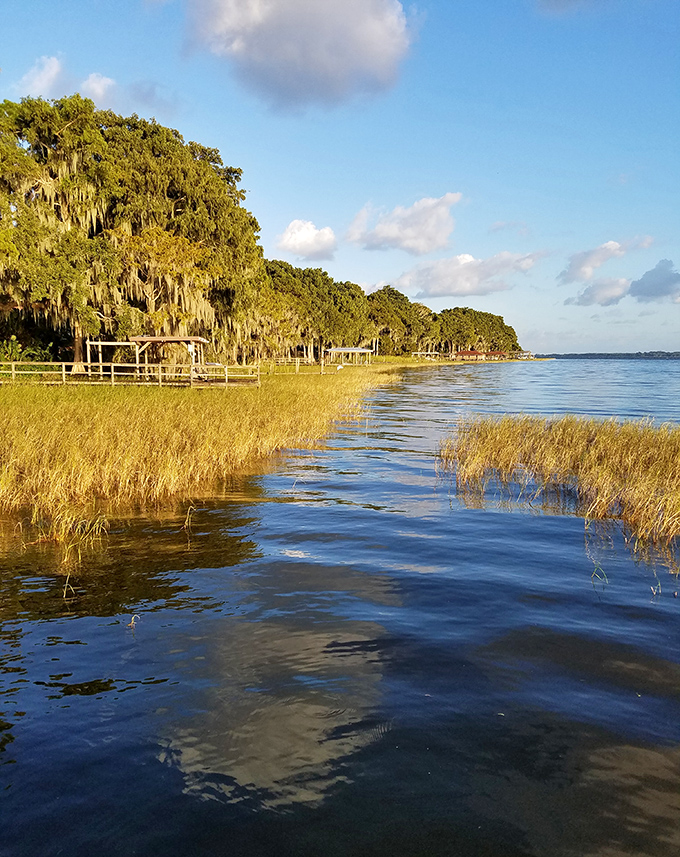 These peaceful waters hold more stories than a library &ndash; and they're all written in ripples, reflections, and the occasional fish splash.