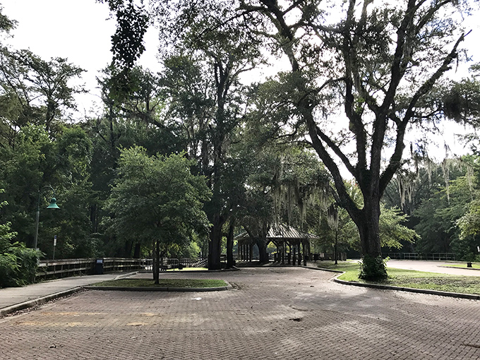This tranquil picnic area invites visitors to linger longer, turning a simple swim into a full day of natural immersion.
