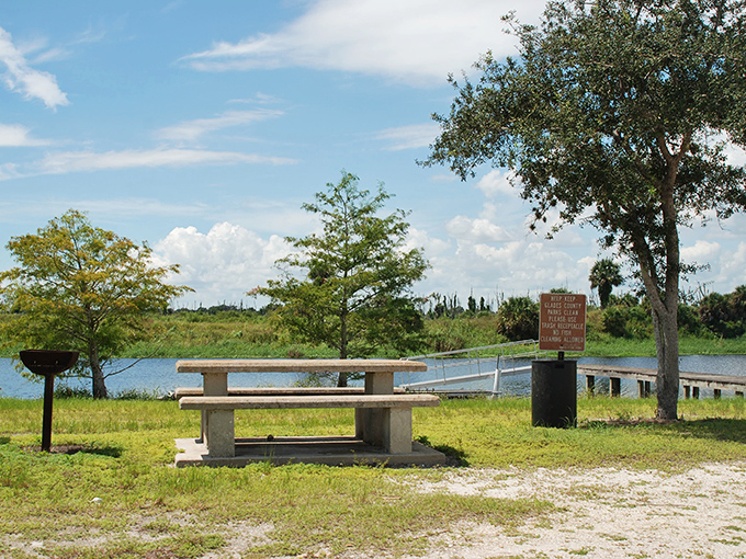 This picnic table has heard more honest family conversations than most therapists' offices &ndash; and charges considerably less.
