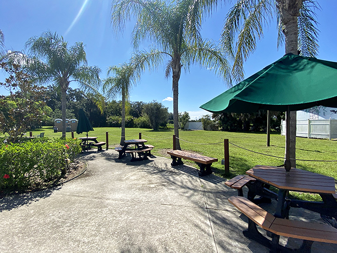 Picnic tables wait patiently under palm trees, ready to host everything from family lunches to impromptu card games between soaks.