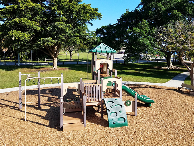 The playground area ensures younger visitors have their own space for fun while parents enjoy the scenic surroundings.
