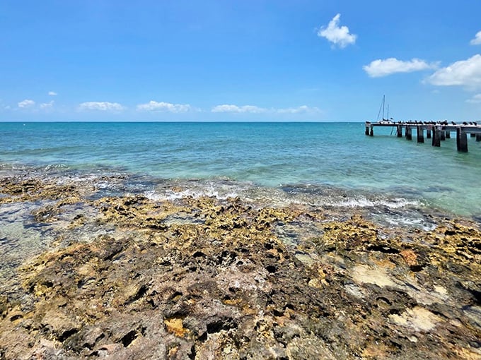 The limestone shoreline creates a natural mosaic where land meets sea in a dramatic geological handshake.