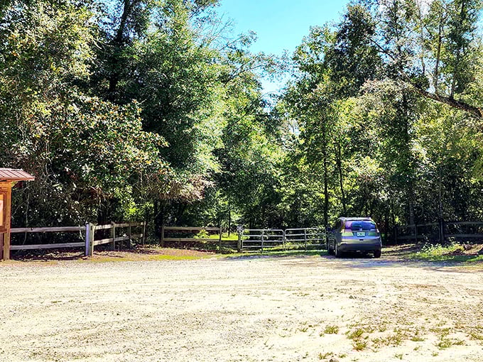 The trailhead's modest parking area belies the extraordinary experience waiting just beyond the trees.