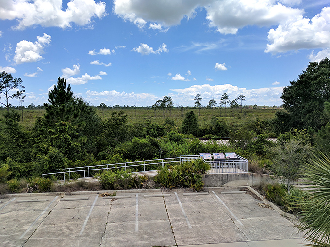 The observation deck offers sweeping views of the preserve, a panoramic reminder of what Florida looked like before theme parks and condos.
