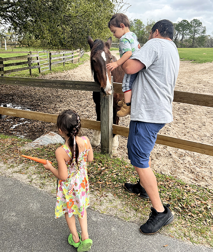 Family bonding takes on new meaning when shared with a gentle horse, creating memories that will last far longer than any theme park visit.