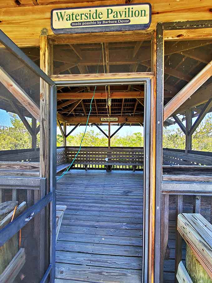 The waterside pavilion offers front-row seats to nature's daily show, where patience is often rewarded with spectacular wildlife sightings.