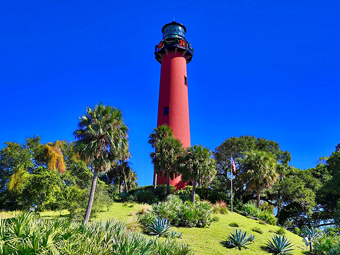 The red Jupiter Inlet Lighthouse rises from a lush green hill, its distinctive color making it one of Florida's most recognizable and photographed beacons.